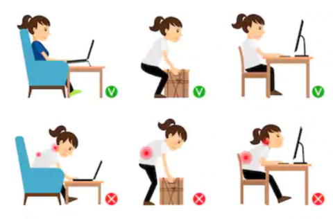 Postura correcta para trabajar en la computadora | New Rehabilitation
