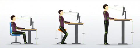 Postura correcta para trabajar en la computadora | New Rehabilitation