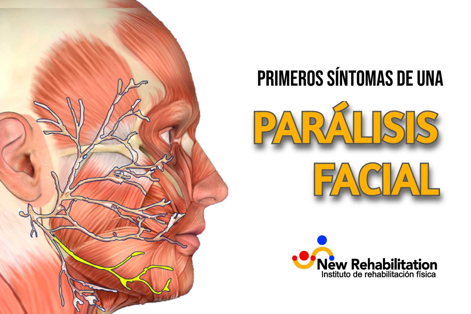 Lumbalgia Mecano postural: ¿Qué es y cómo puedes tratarla? | New ...